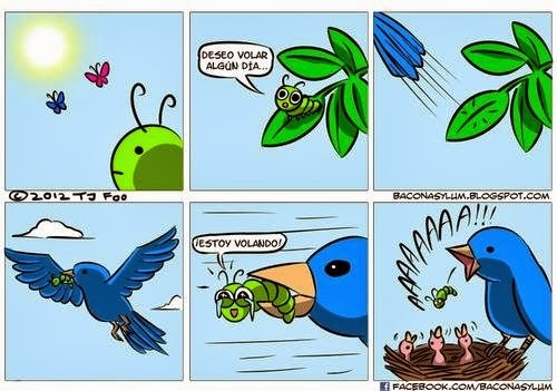 Pobrecito gusanito :( - Meme by aranda.fraannk :) Memedroid