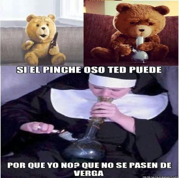 oso - Meme by paniko900 :) Memedroid