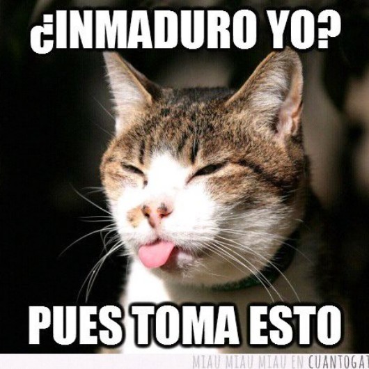 Inmaduro ¿yo? - Meme subido por Follencio0808 :) Memedroid