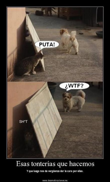 put.. - Meme subido por reckizmonterde :) Memedroid