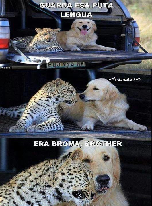 aahhhhh qe lindo - Meme subido por shita13 :) Memedroid