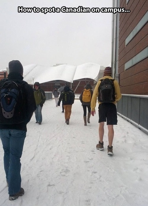 its so cold - Meme by AttackDogK9 :) Memedroid