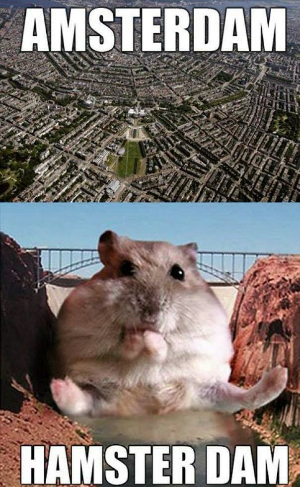 Amsterdam ... - Meme by smallgiant :) Memedroid