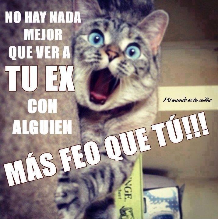 sorpresa es más feo. - Meme subido por everthgenius :) Memedroid