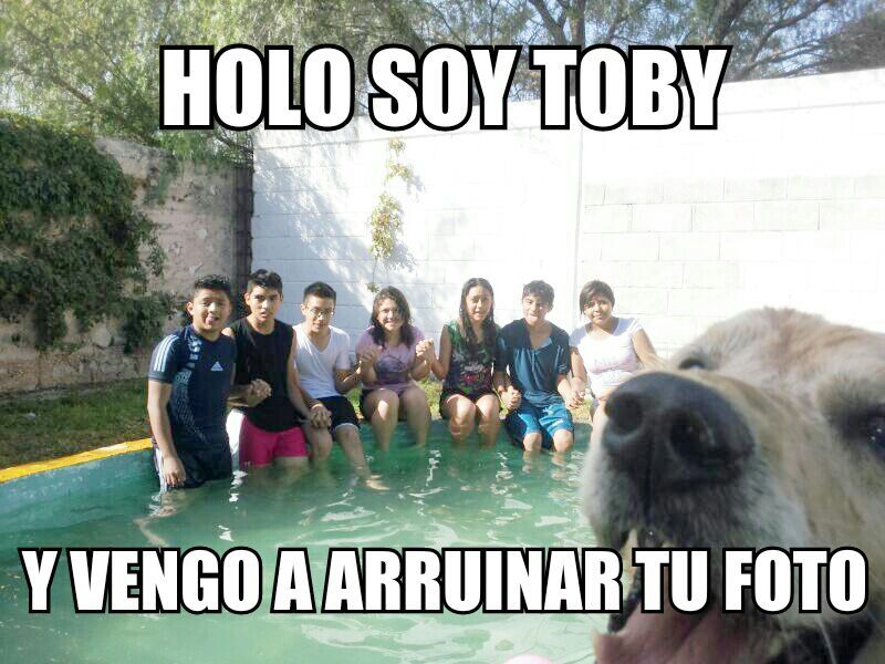 c: - Meme subido por alfred.toro.av1998 :) Memedroid