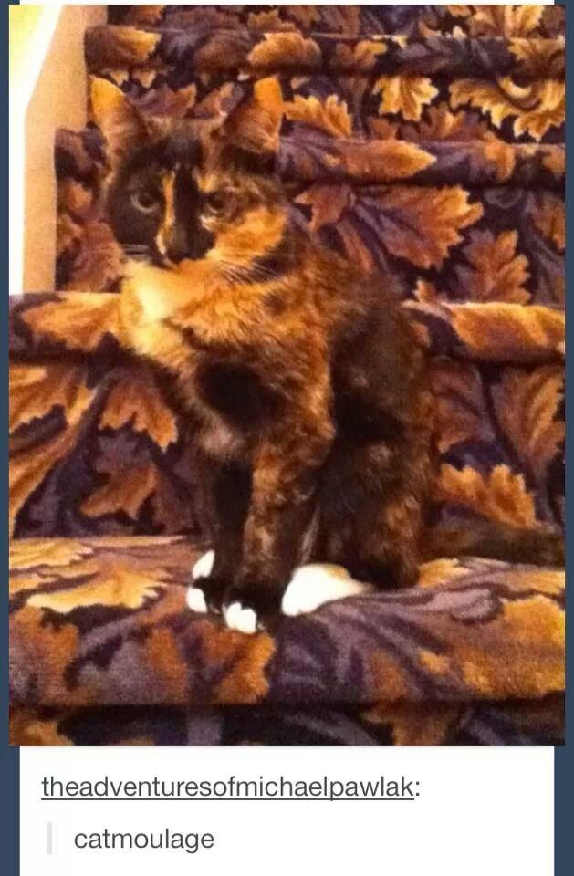 ba dum tsss - Meme by JMADD97 :) Memedroid