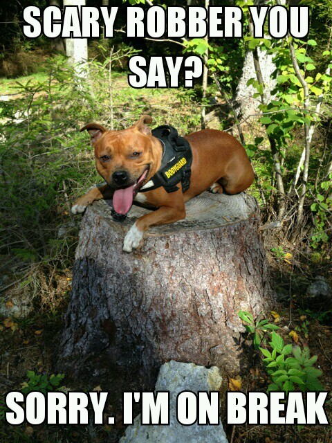 bodyguard - Meme subido por Kremkar :) Memedroid