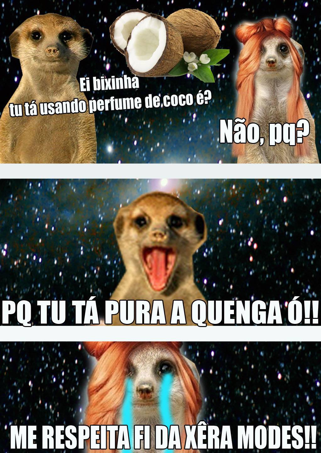 suricate de uma egua froxa - Meme by rebelari :) Memedroid