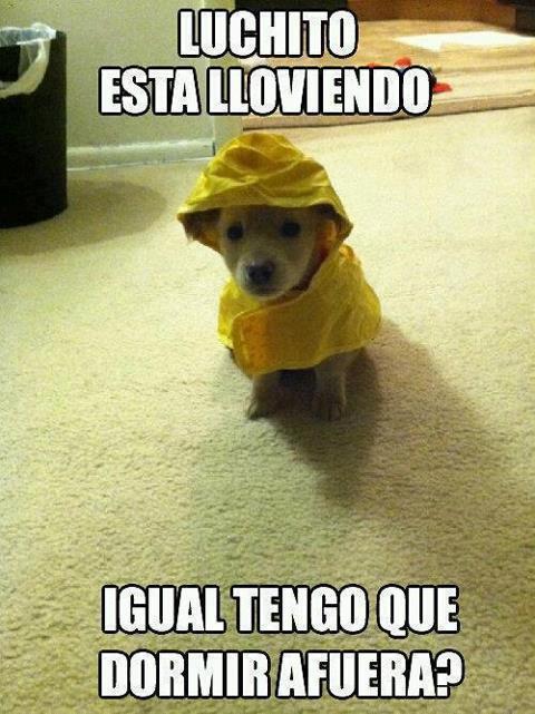 hhayyyyy que chulo - Meme by ricar62 :) Memedroid