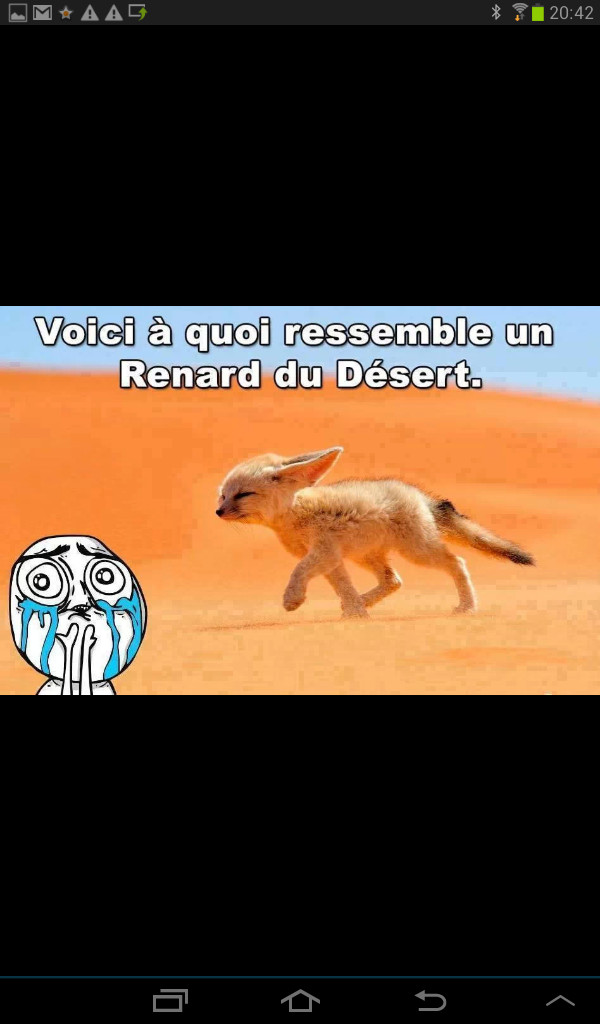 trop beau - Meme by nathanprudhomme25 :) Memedroid