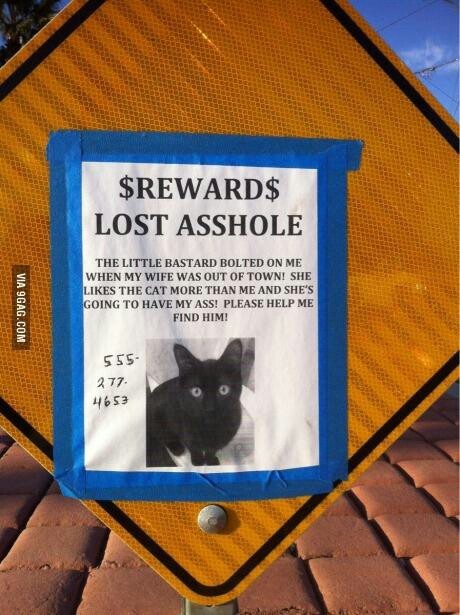 pure evil... trust me - Meme by boomkamikax :) Memedroid