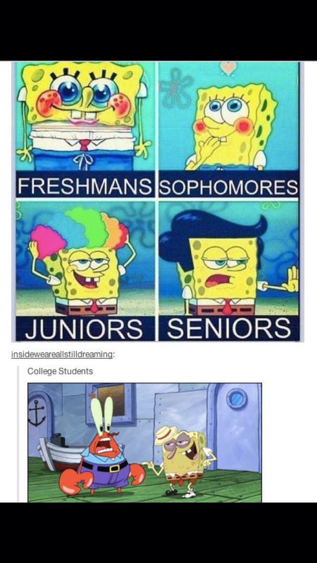 Sophmore = wise fool - Meme by ele24 :) Memedroid