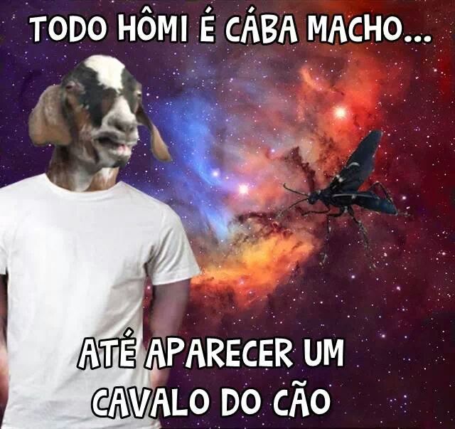 By: Bode Gaiato - Meme by alexandrelucius :) Memedroid