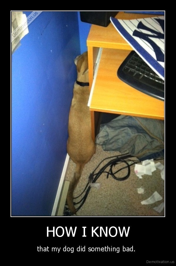 What was it this time - Meme by evilpinkbannana :) Memedroid