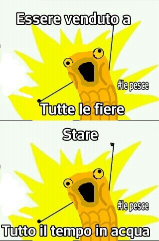 dedicato a Pesce - Meme by pescevaffanculo :) Memedroid
