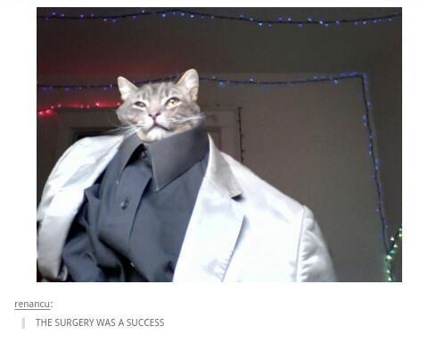 indeed... looking good - Meme by WhatDoWeHaveHere :) Memedroid