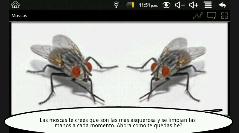 moscas - Meme subido por zmaster :) Memedroid
