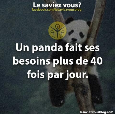 Merde alors ! *hihi* - Meme subido por Freeza :) Memedroid