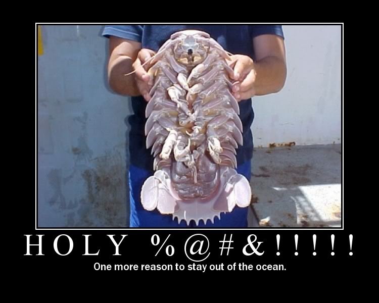 da faq is that - Meme by dradonus :) Memedroid