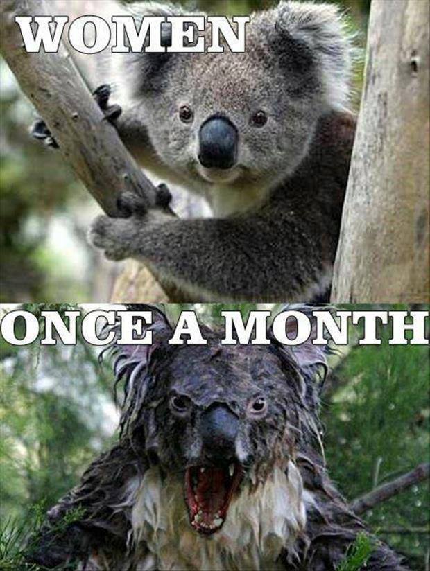 true story - Meme by iloveme13 :) Memedroid