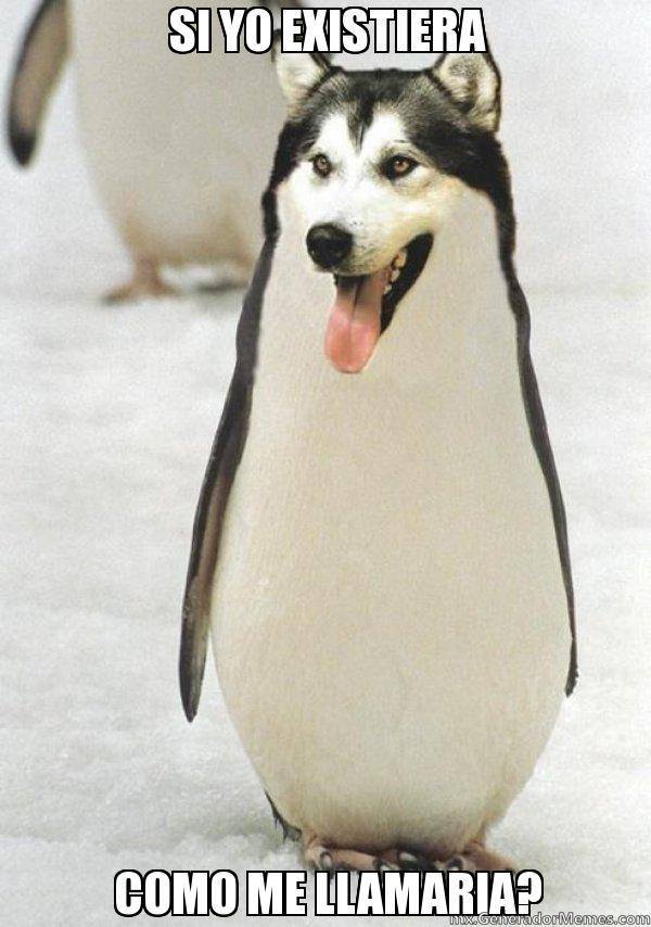 guauuu - Meme subido por yordicorona :) Memedroid