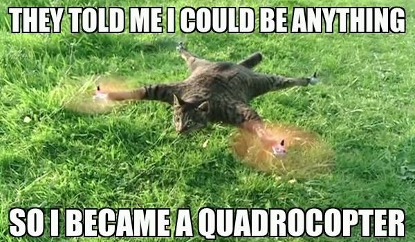 Catcopter - Meme by kguevenarslan :) Memedroid