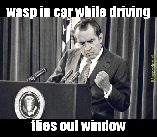 wasp - Meme by read.joshua769 :) Memedroid