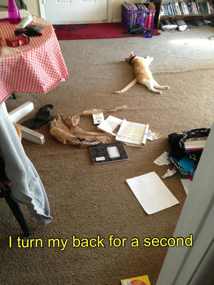 oceanrave :) Memedroid