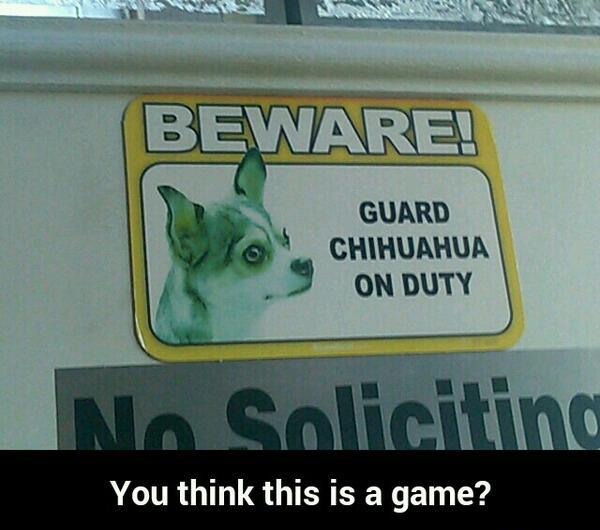 dunt fuk wif me bru - Meme by sonicboy256 :) Memedroid