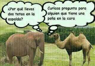 elefante - Meme subido por joseeligon :) Memedroid