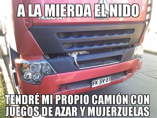 nido - Meme subido por eriko.kaempfer :) Memedroid