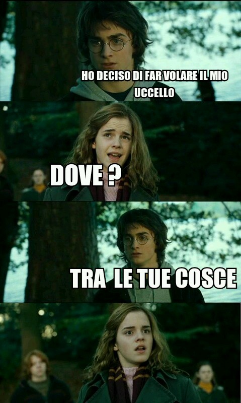 ho deciso di far volare il mio uccello - Meme by PEPERONCINO :) Memedroid