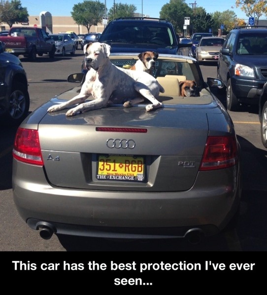 best protection - Meme by HaiLjesus :) Memedroid