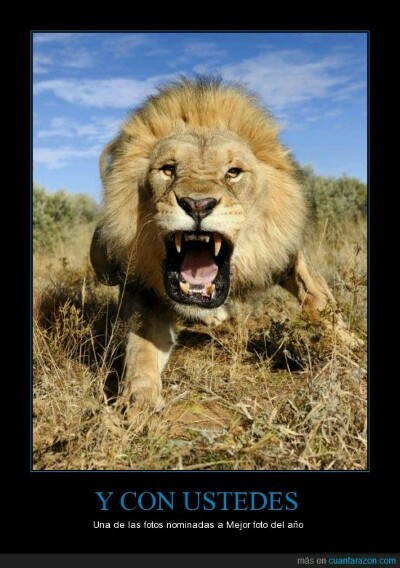 excelente - Meme subido por jessii87 :) Memedroid