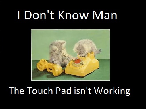 cats on phones - Meme by tulylol :) Memedroid