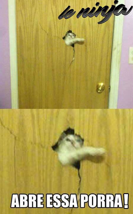 abre - Meme by trollador_ninja :) Memedroid