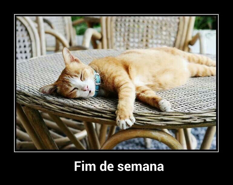 fim de semana *-* - Meme by PPGamer :) Memedroid