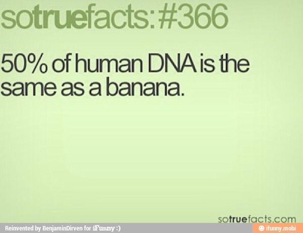 Humana - Meme by wyattisalaxbro :) Memedroid