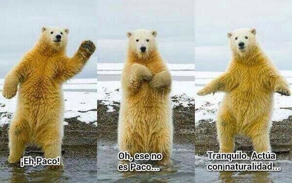 pacoooo - Meme subido por sandrabotasinclan :) Memedroid