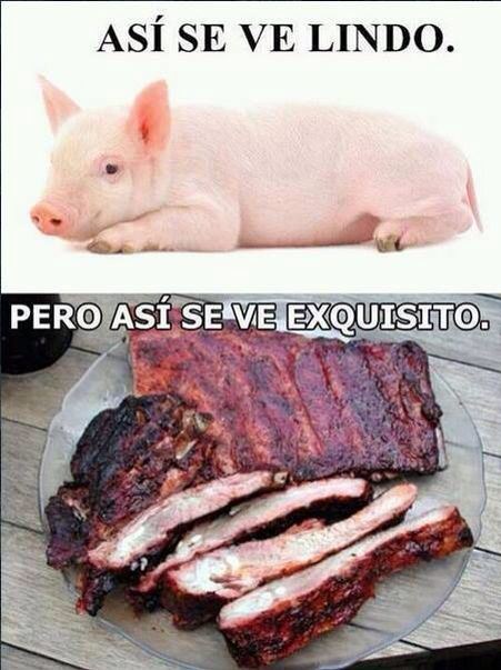 Cerdito - Meme subido por jose.mar :) Memedroid