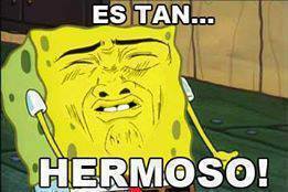 hermoso - Meme subido por carbel0 :) Memedroid