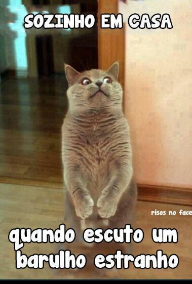 pior - Meme by dudulin15 :) Memedroid