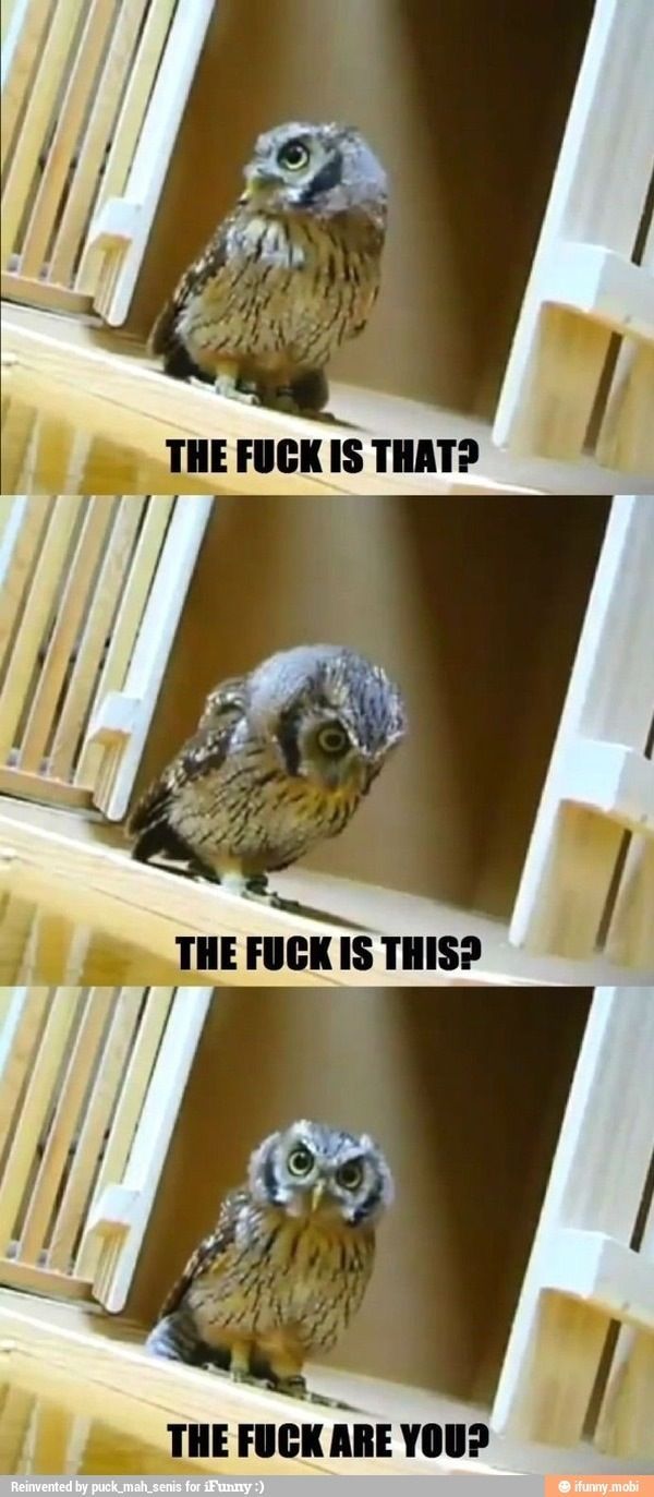 Amnesia - Meme by Torterror :) Memedroid