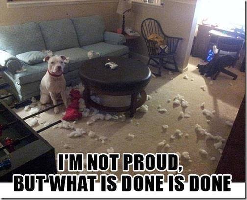 what done is done - Meme by Diskrieg :) Memedroid