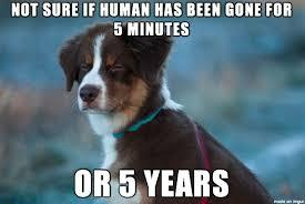 Where...how long?? - Meme by Root :) Memedroid