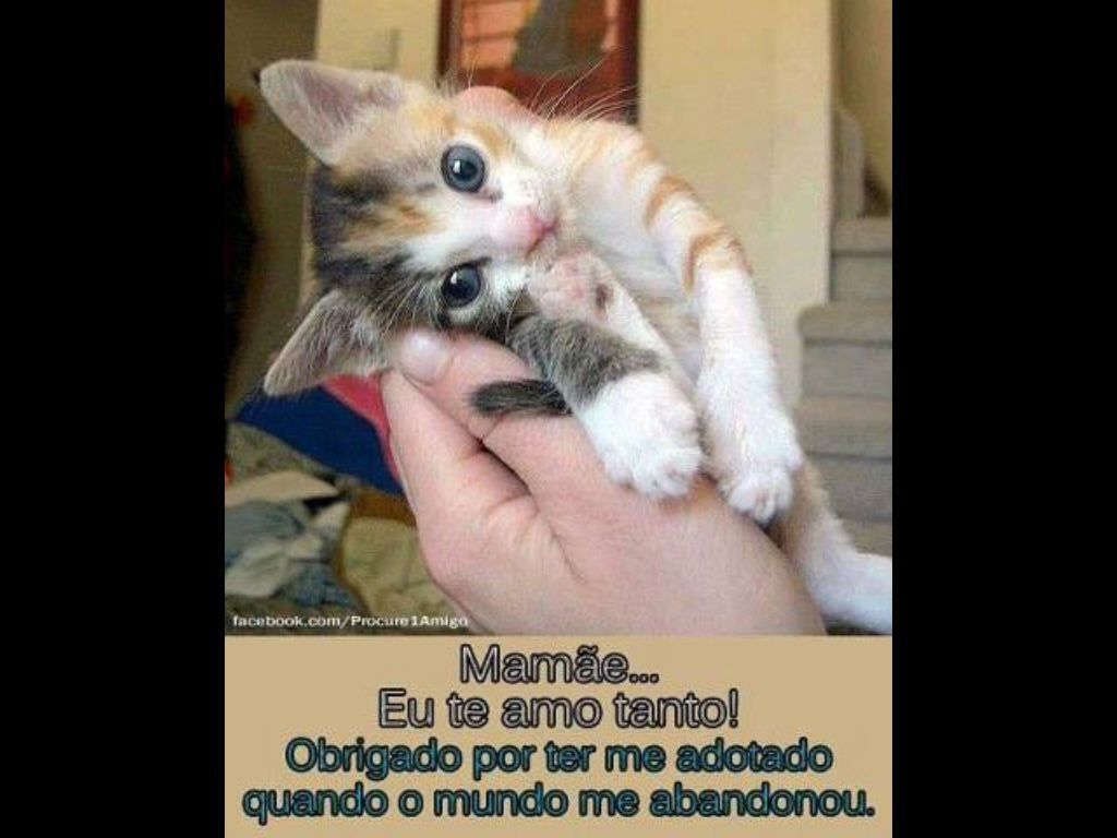 Gritei - Meme by Francesa :) Memedroid