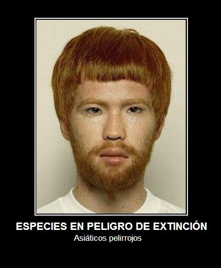 xe - Meme by martinDaStra :) Memedroid