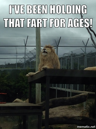 Fart of the jungle - Meme by thomson247 :) Memedroid