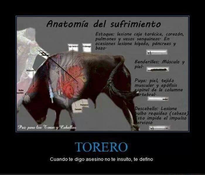 malditos toreros - Meme subido por amina :) Memedroid