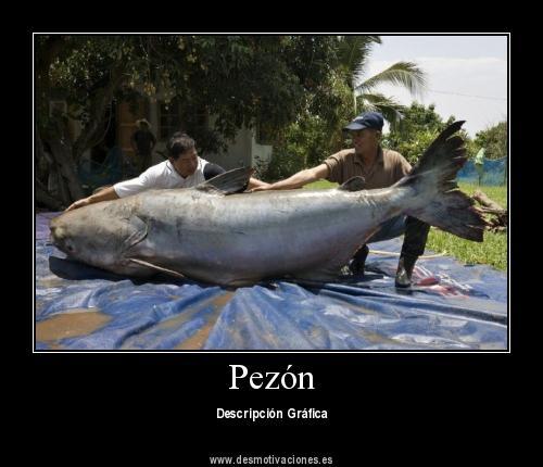 este si que es un buen pezón - Meme subido por joseluismonroy44 ...